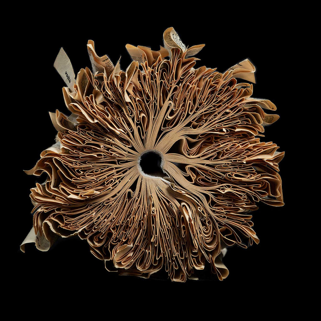 Voila 24" x 24" – Petroff Gallery