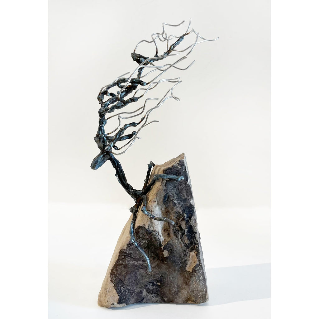 Windswept Tree with Rock – Petroff Gallery